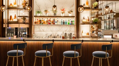 Amadeo By Oberoi: Mumbai's Culinary Oasis Redefining Dining Excellence