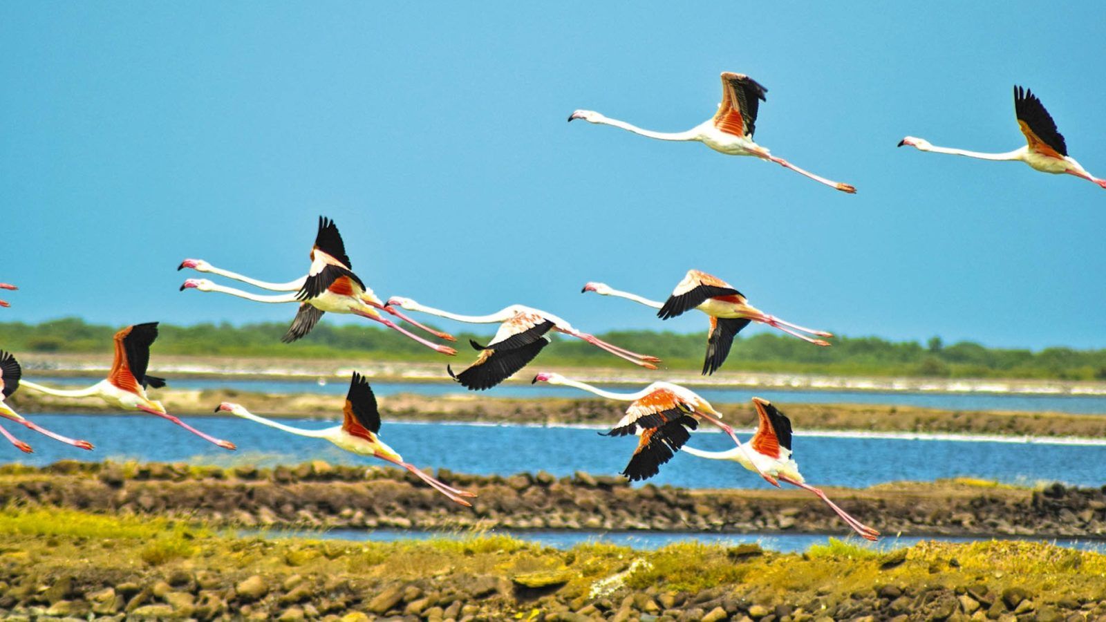 Offbeat Destinations In India For All Kinds Of Travellers