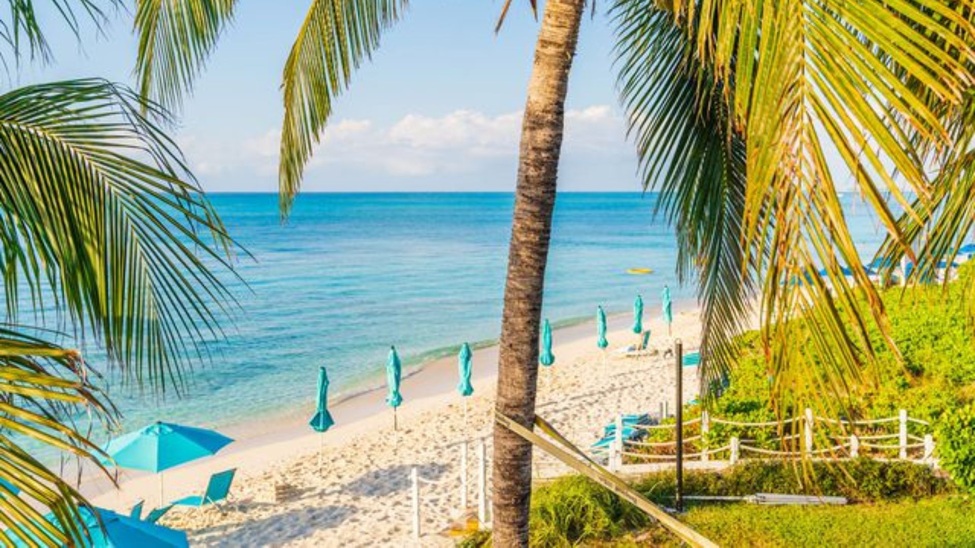 20 Best Things To Do In Turks And Caicos