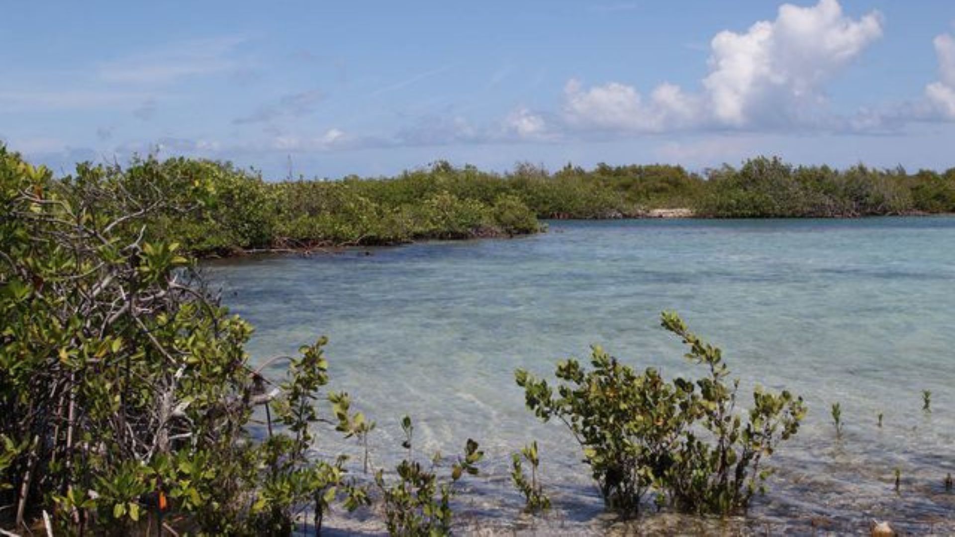 20 Best Things To Do In Turks And Caicos