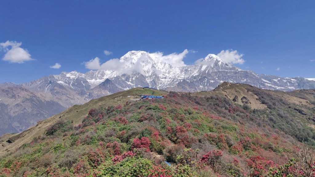 Mardi Himal Base Camp, Nepal: A Journey Through Scenes & Scents