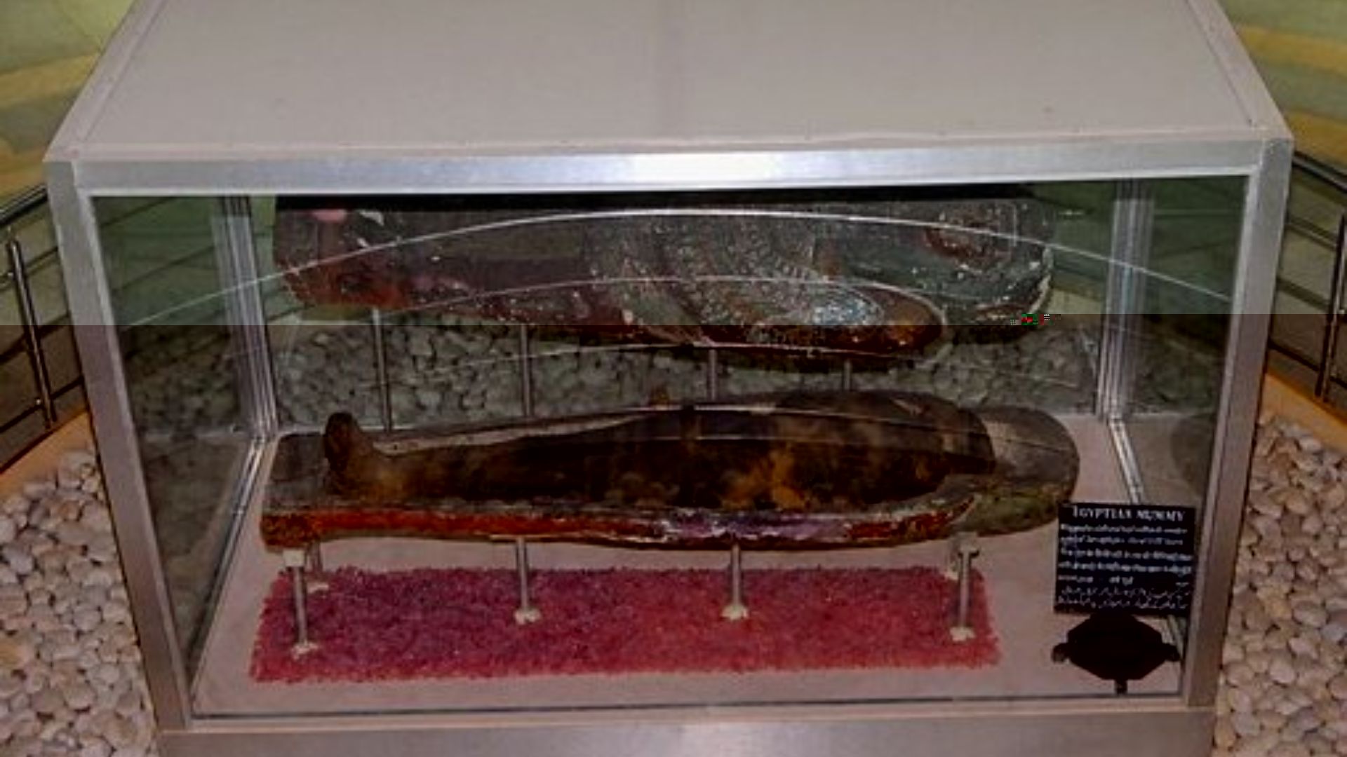 Places Where You Can See Mummies In India