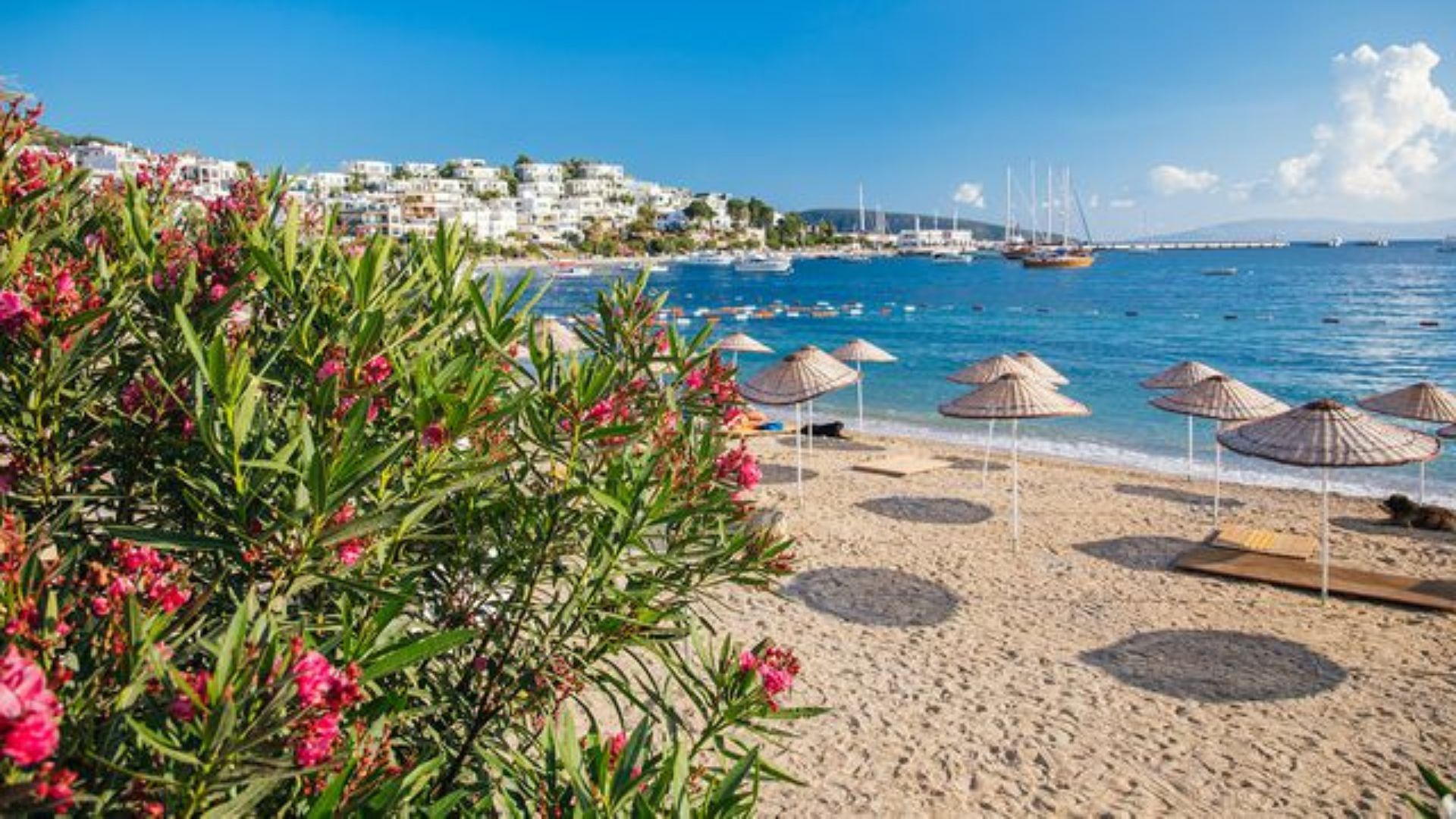 10 Beloved Beach Destinations That Are Even Better In Shoulder Season