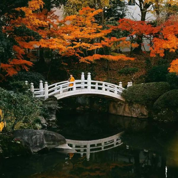 Tokyo Vs Kyoto: Comparing Two Iconic Japanese Destinations