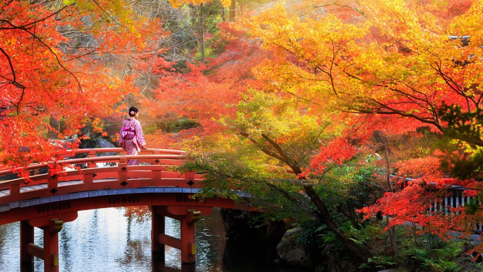 Best Places To Witness Fall Foliage Across Asia
