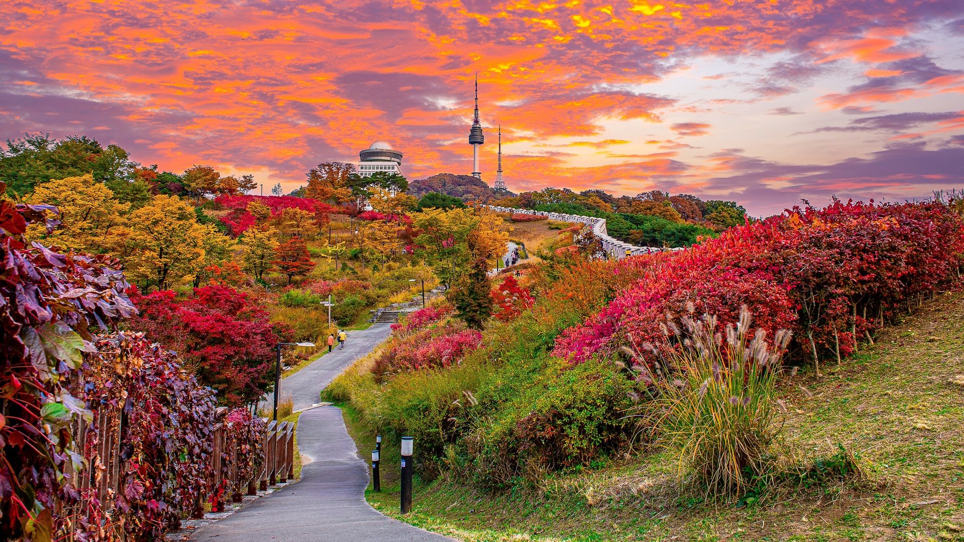 Best Places To Witness Fall Foliage Across Asia
