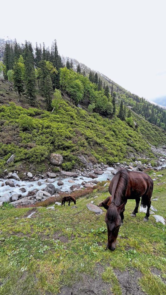 Traversing Himachal Pradesh's Hampta Pass Trek (As A Novice Climber!)