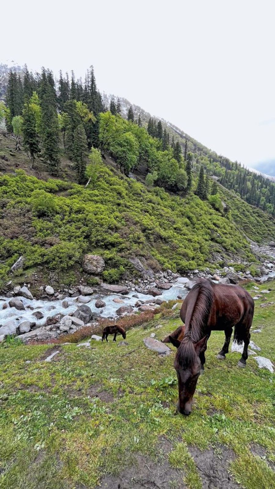 Traversing Himachal Pradesh's Hampta Pass Trek (As A Novice Climber!)