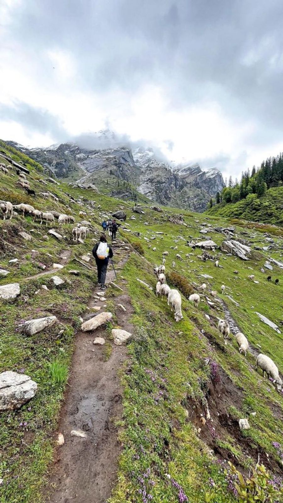 Traversing Himachal Pradesh's Hampta Pass Trek (As A Novice Climber!)