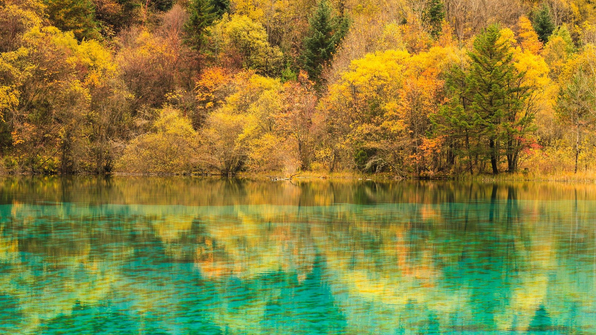 Best Places To Witness Fall Foliage Across Asia