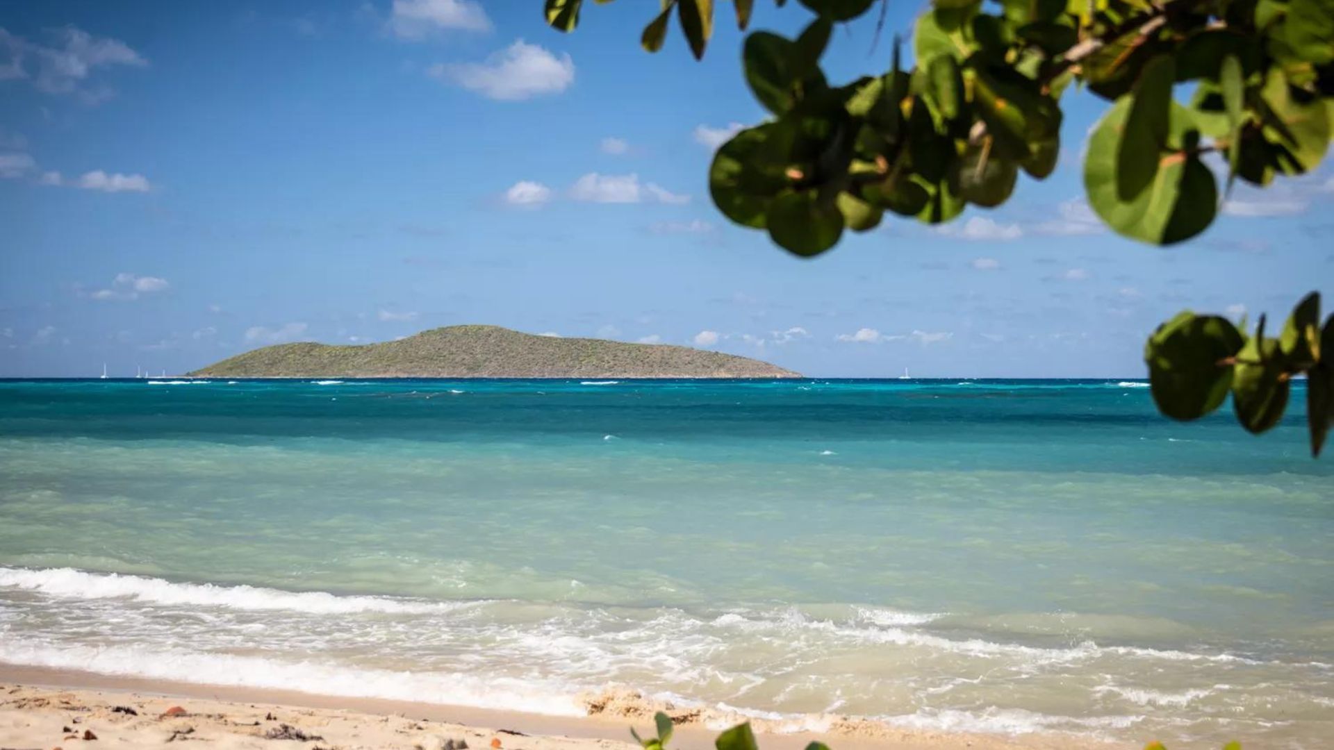 20 Best Things To Do In St. Croix, According To Locals