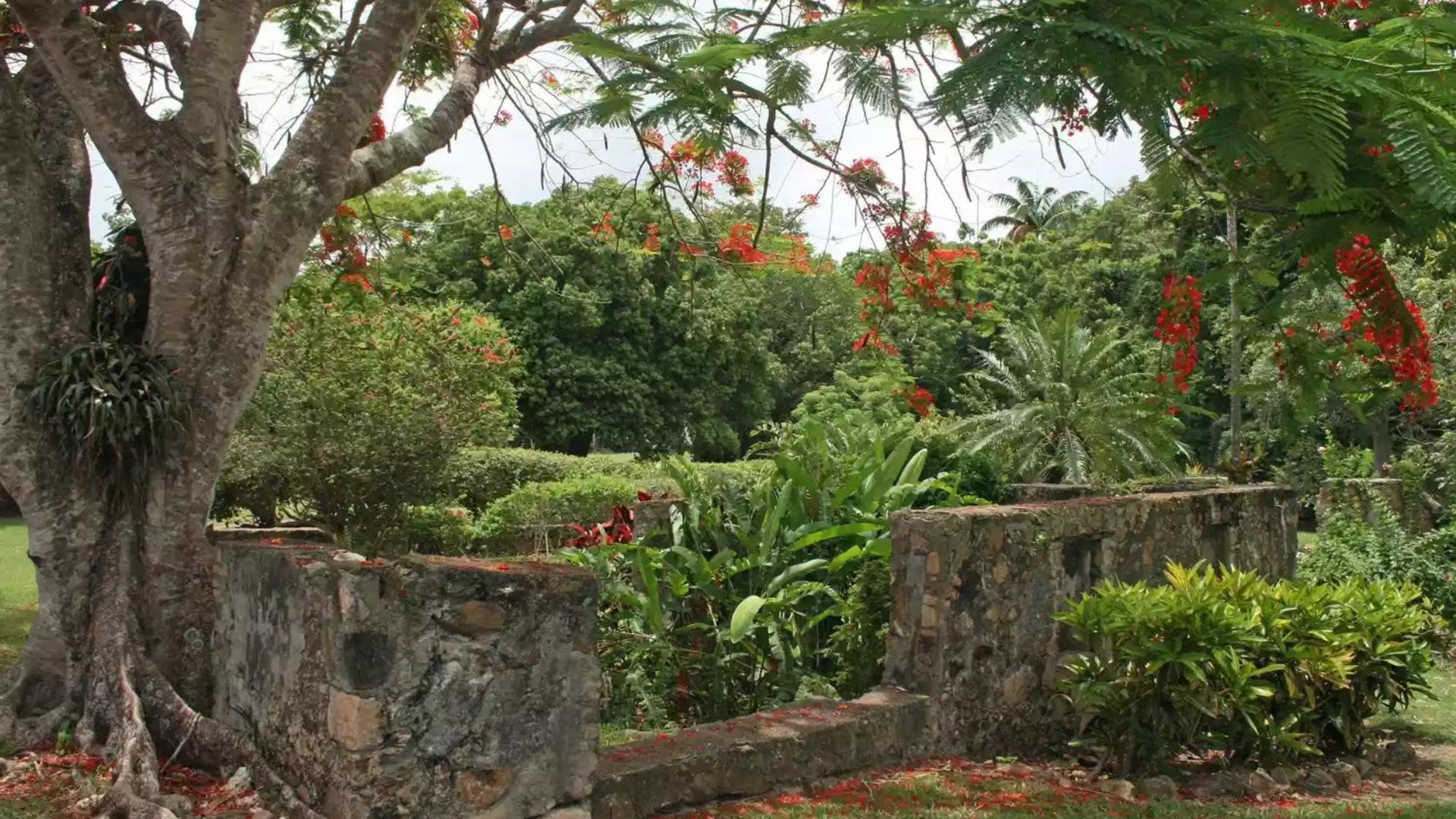 20 Best Things To Do In St. Croix, According To Locals