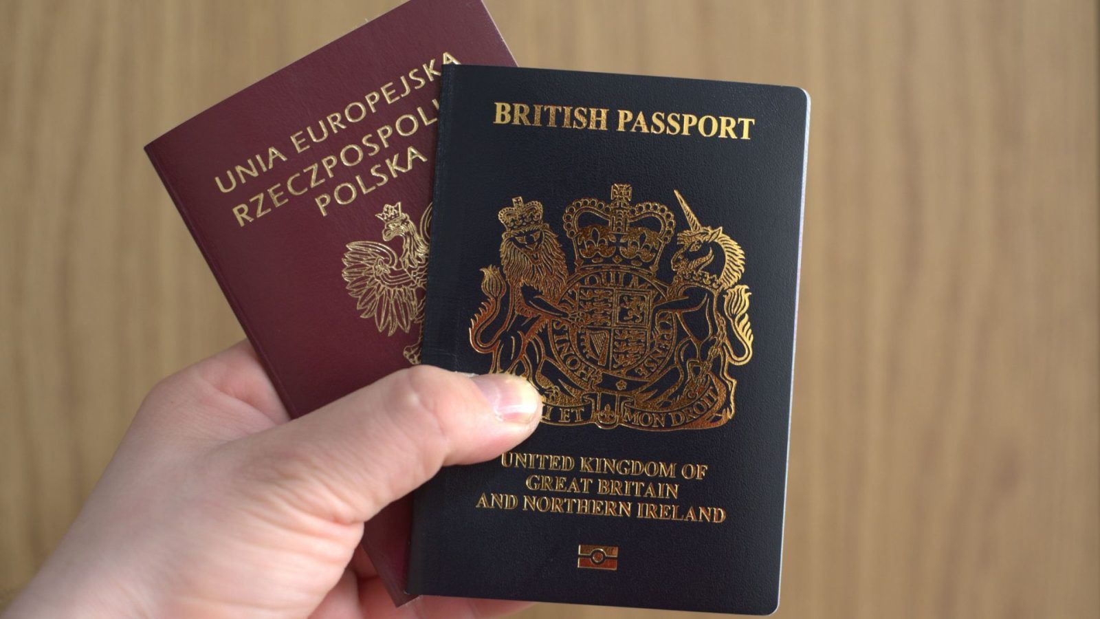 Dual Citizenship: 7 Countries That Offer Ancestry Passports