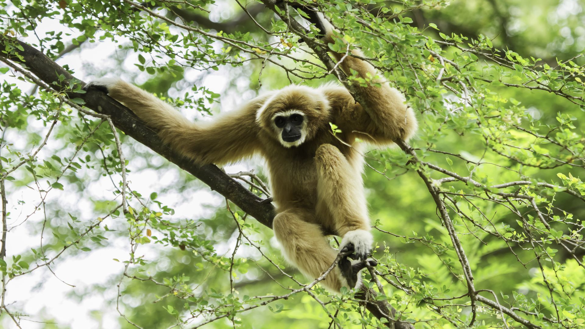 8 Unique Experiences To Enrich Your Nagaland Itinerary