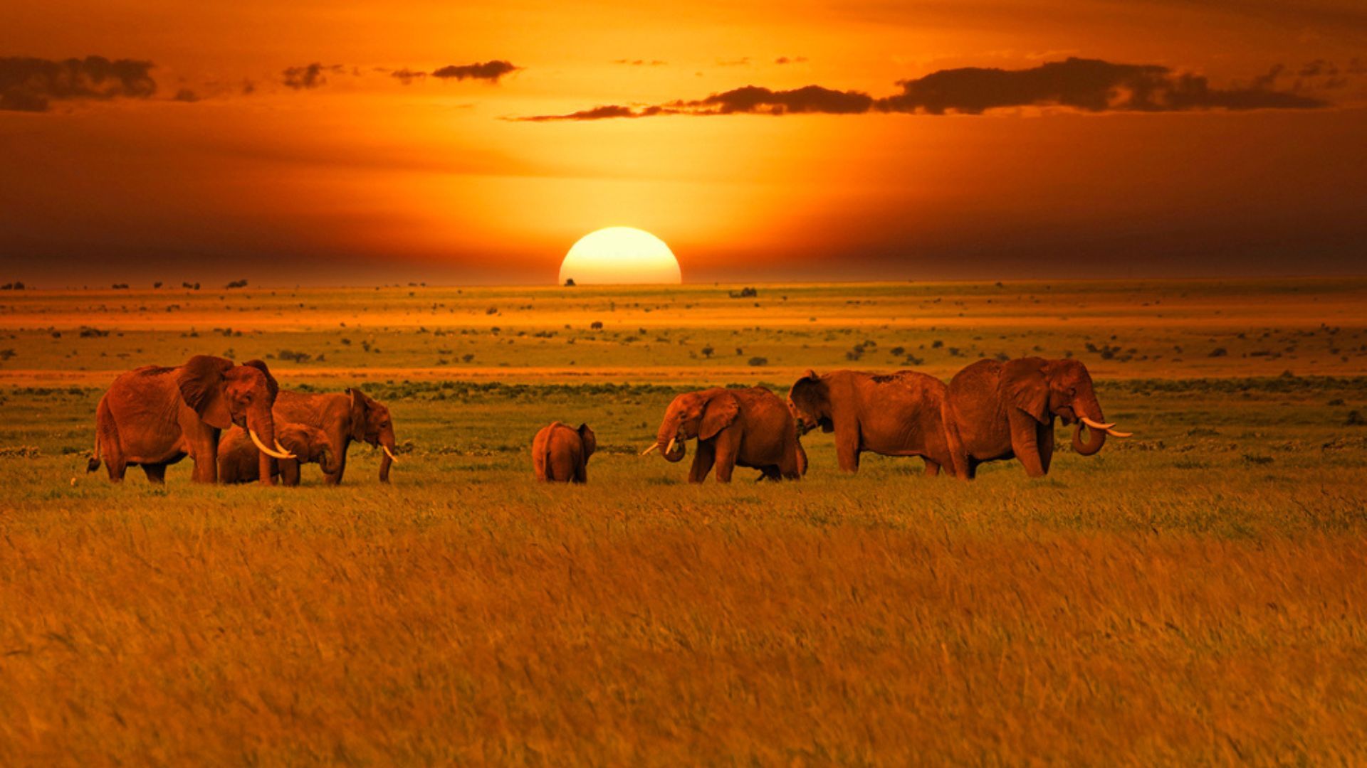 From Lofoten Islands To Kenya: 19 Epic Sunset Spots Around The World