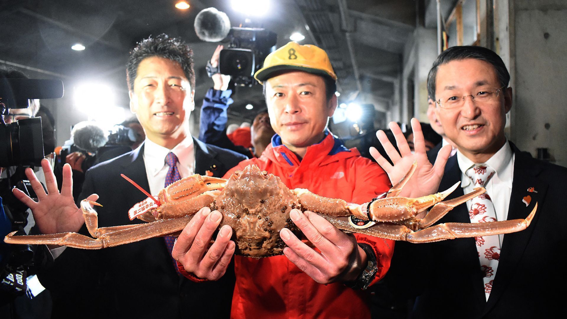 Most Expensive Crabs In The World To Dine On