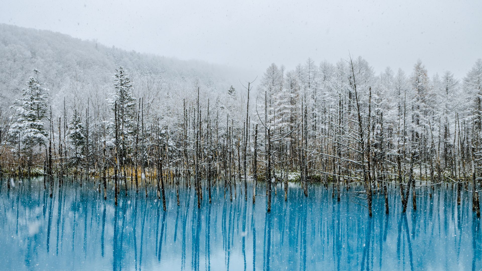 Winter In Japan: Destinations, Experiences And Things To Do Guide 2024