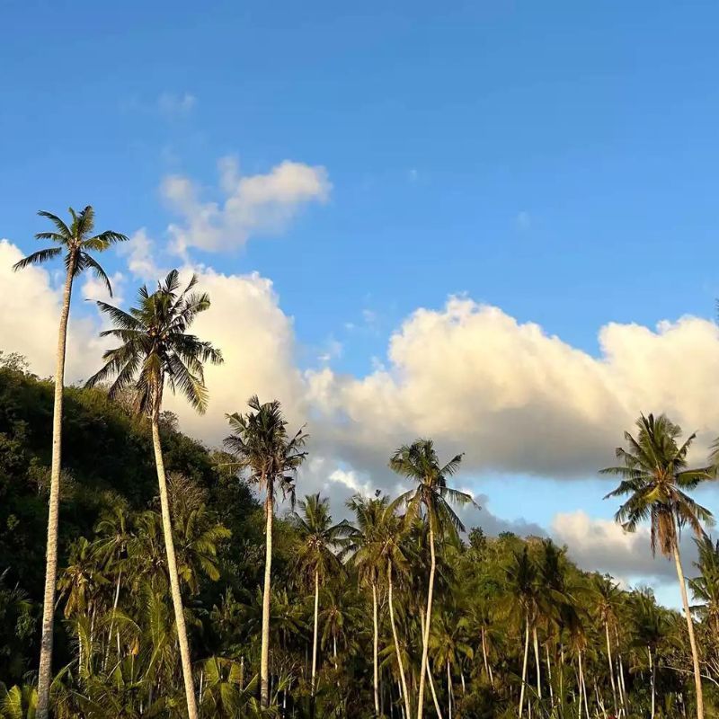 A Guide to Uttar Pradesh’s Best Kept Secret - Chuka Beach (Pilibhit) 2023