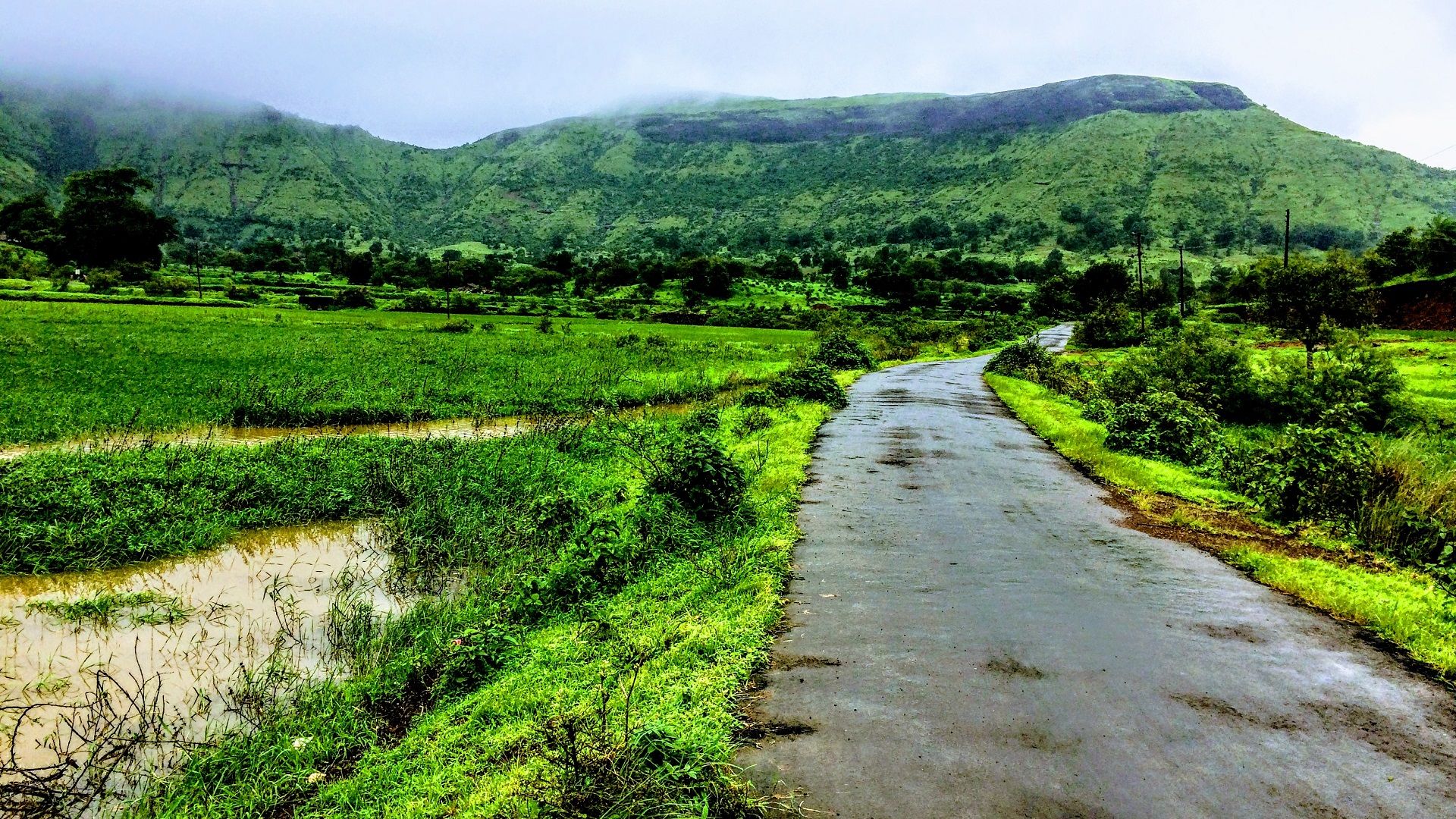 11 Scenic Hill Stations Near Mumbai For A Weekend Getaway 2024