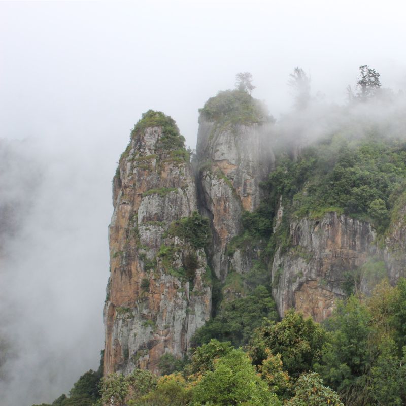 Waterfalls, Hills & Lakes: Top Tourist Places In Yercaud Hill Station ...