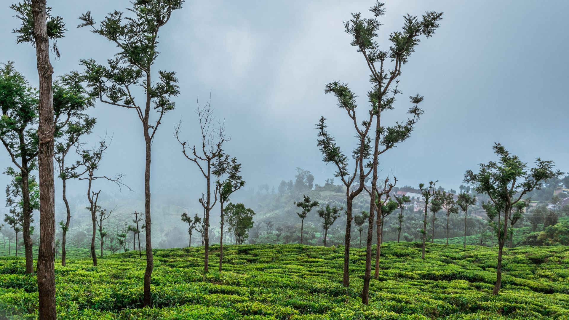 Escape The City Life With A Getaway To These Hill Stations Near Chennai
