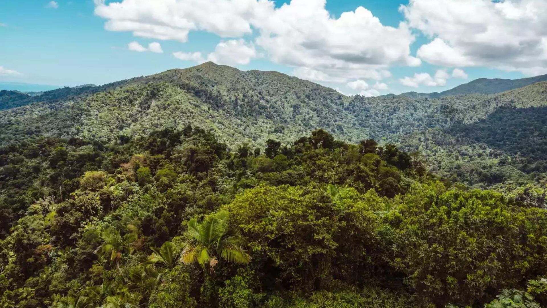 20 Best Places To Visit In Puerto Rico