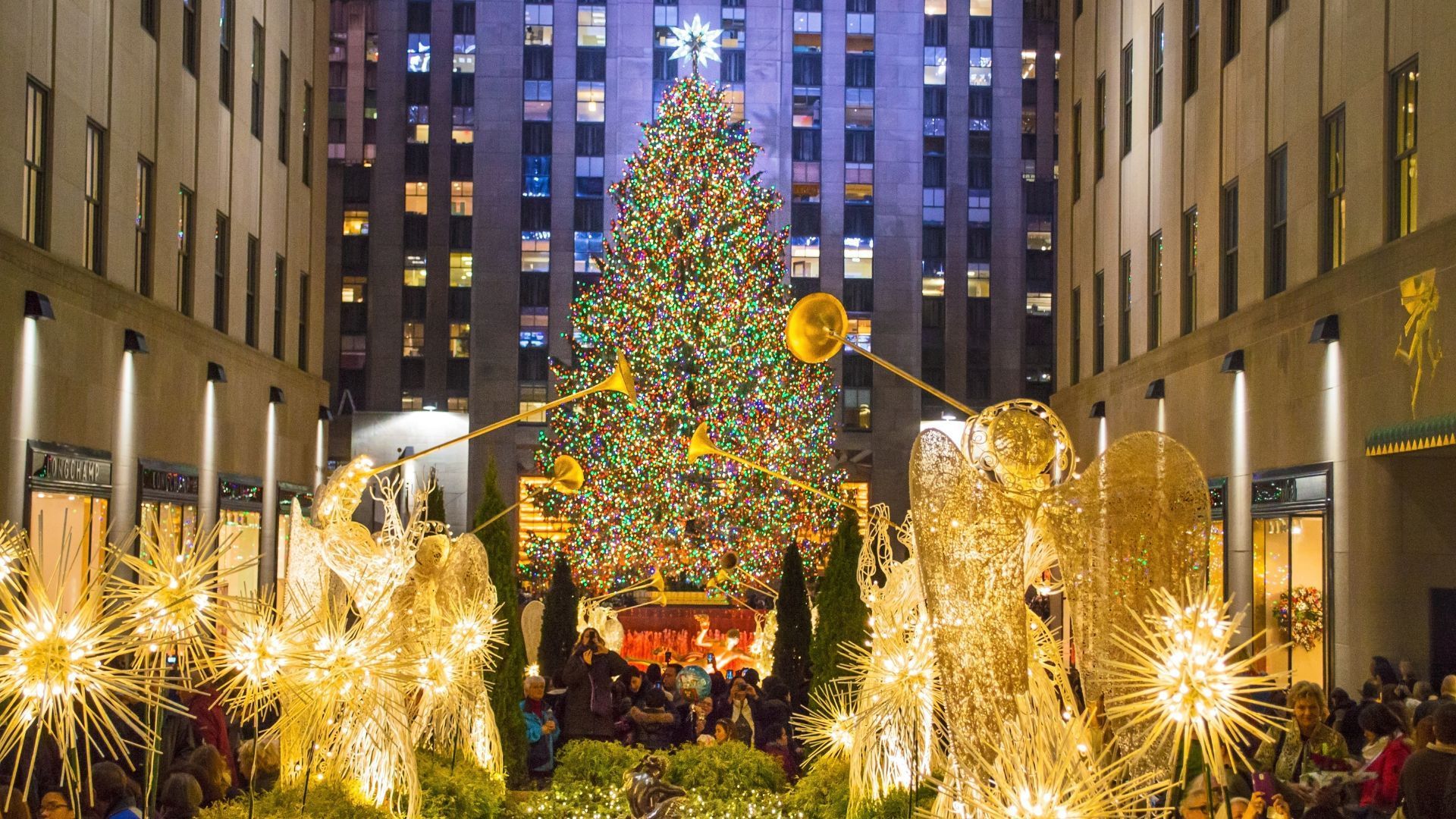 7 Most Stunning & Beautiful Christmas Tree In The World 2023 (Check Photos)