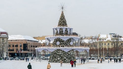 7 Most Stunning & Beautiful Christmas Tree In The World 2023 (Check Photos)