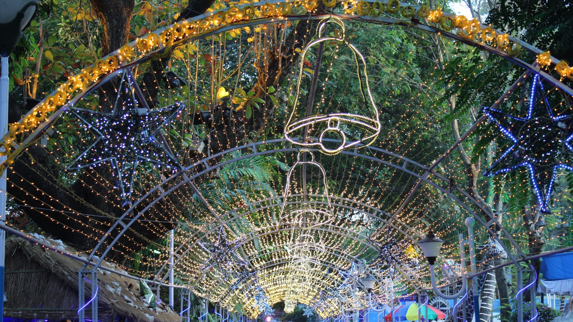 Christmas Celebrations In India: Best Events To Attend This Season