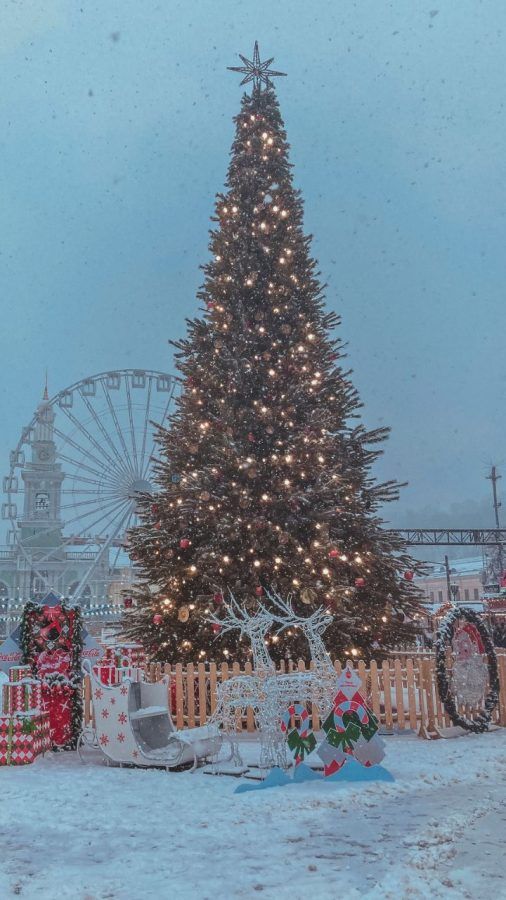 Images Some Of The Most Expensive Christmas Trees images-some-of-the-most-expensive-christmas-trees