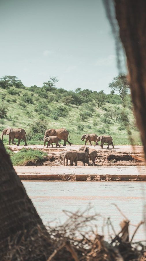 These Are Some Of The Most Beautiful Places To Visit In Kenya