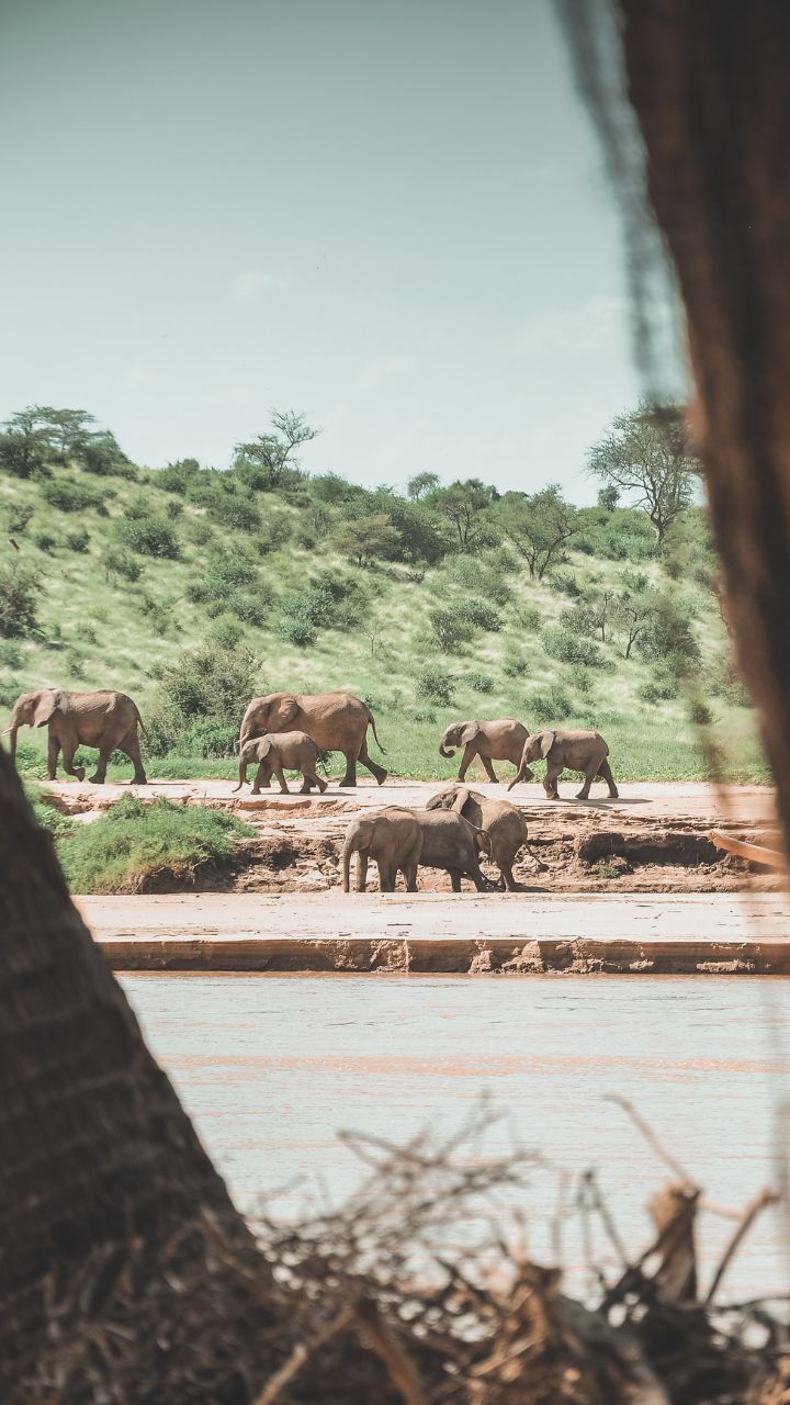 These Are Some Of The Most Beautiful Places To Visit In Kenya
