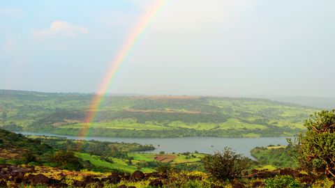 Kaas Plateau Day Safari Returns In Full Bloom After Six Months