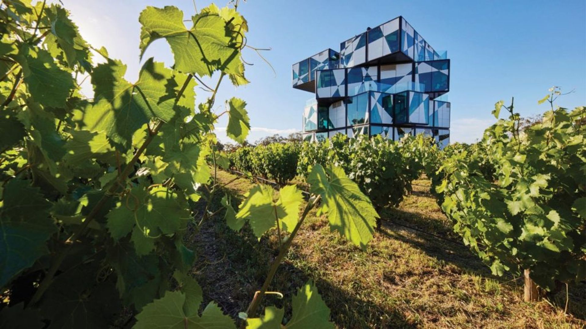 Uncorking The Secrets Of Adelaide's Wineries & Culinary Delights