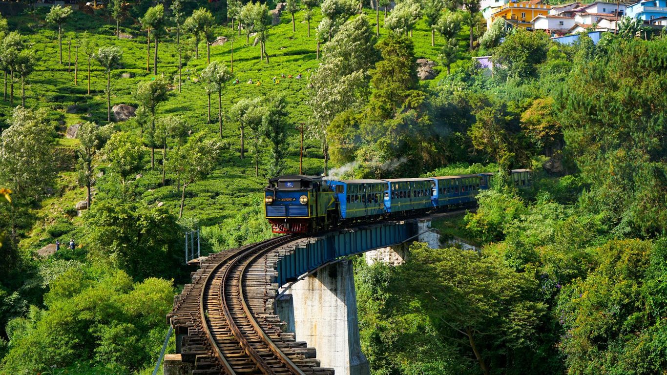 Best Places To Visit In Ooty: Your Guide To Explore The Queen Of Hills
