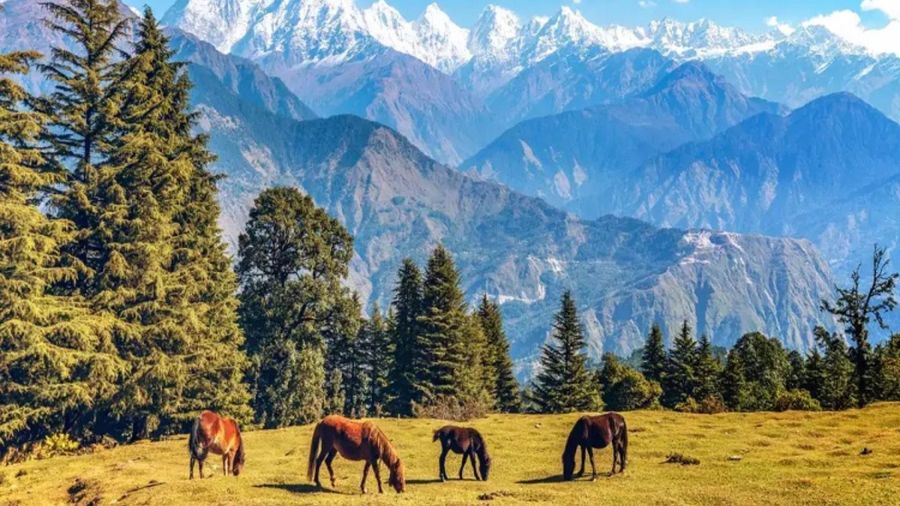 Most Beautiful Places In India (Scenic Natural & Cultural Heritage) 2024