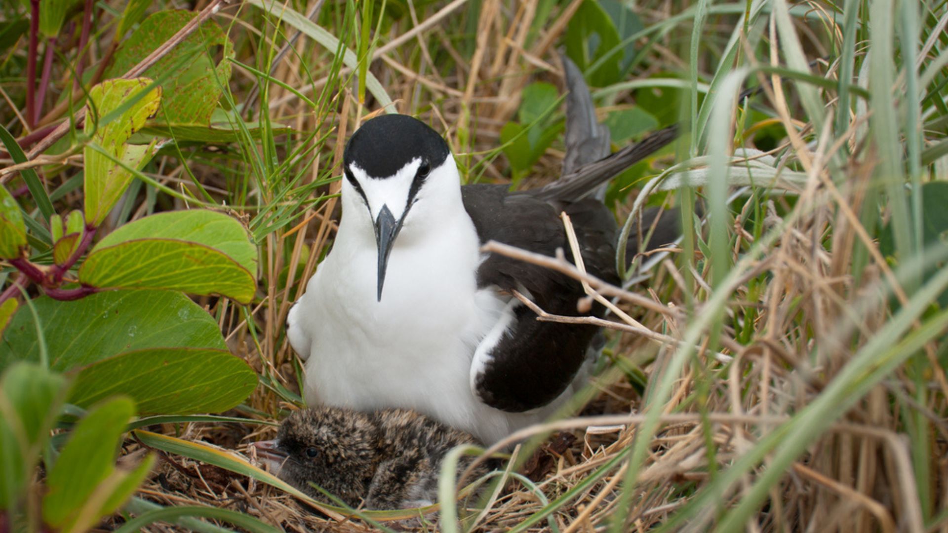 Most Beautiful Places In Lakshwadeep - Scenic Natural Attractions 2024