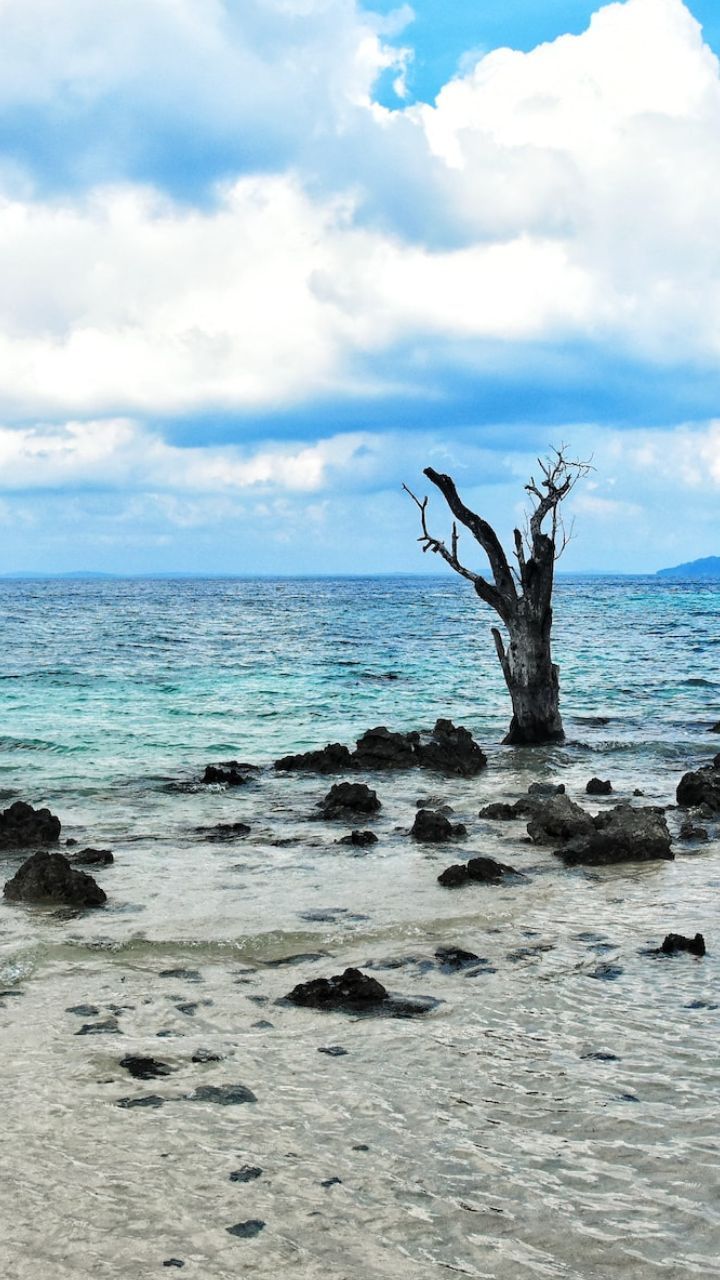 Discover Paradise At These Islands In India