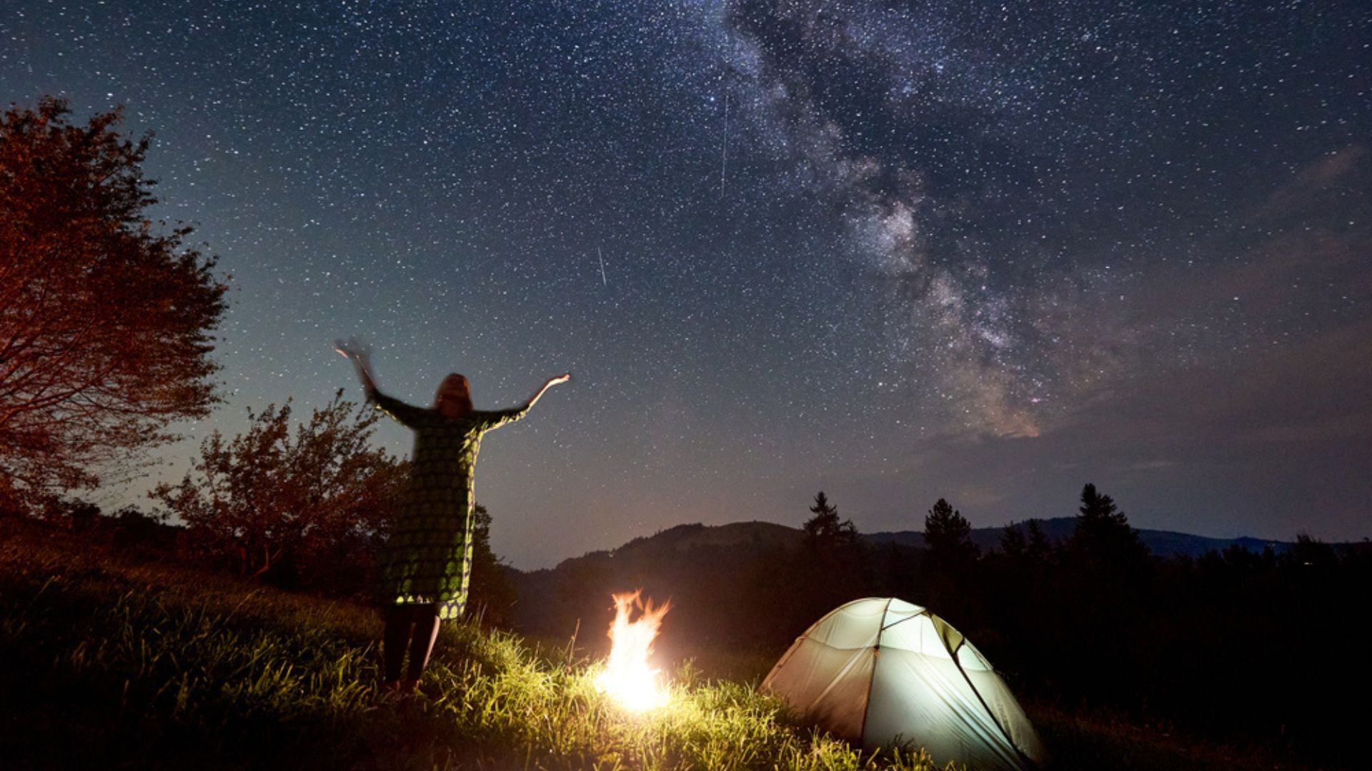 Pench Tiger Reserve Joins The List Of Dark Sky Places; Details Inside