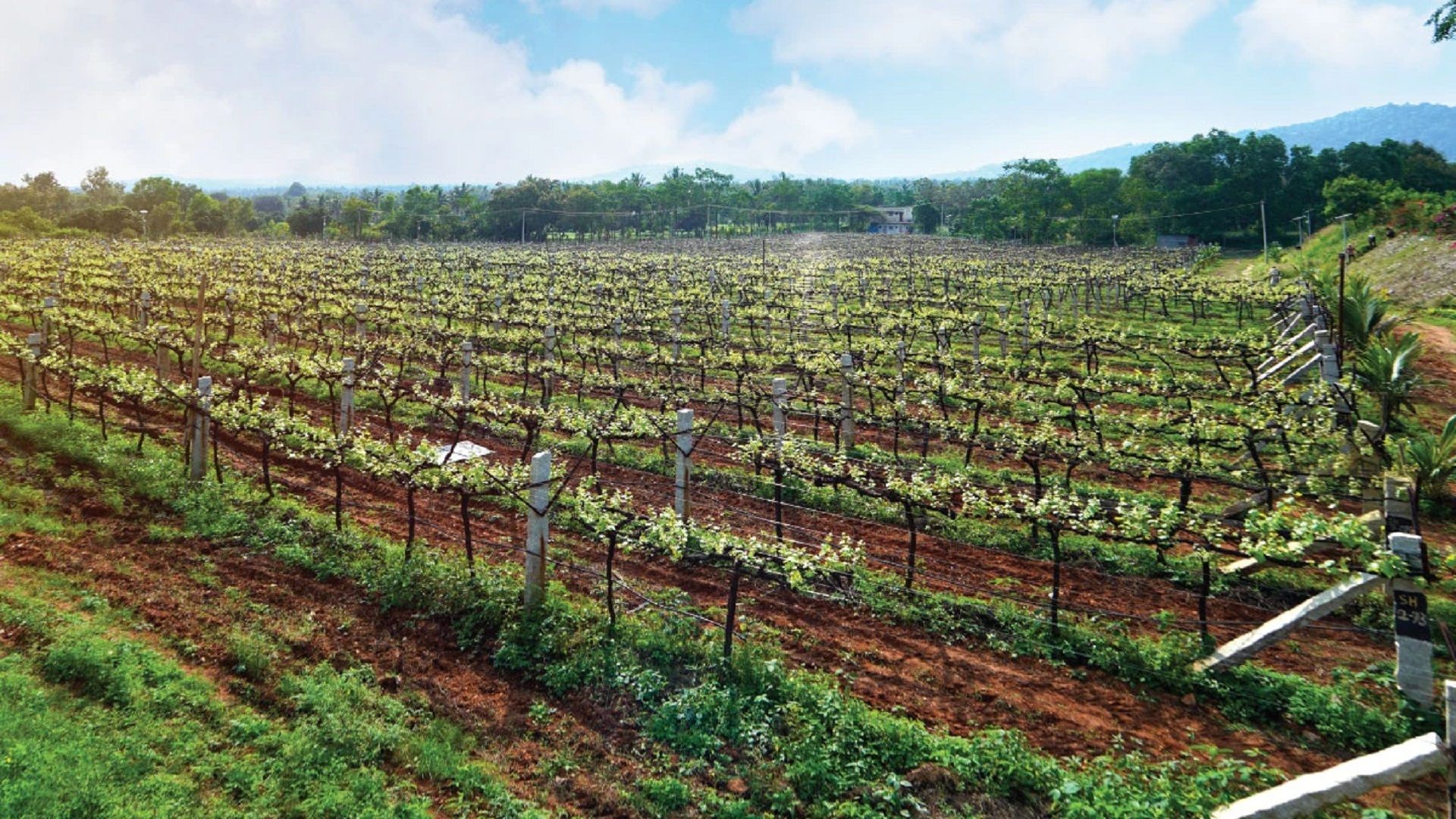 Best Places To Visit In India In February 2024