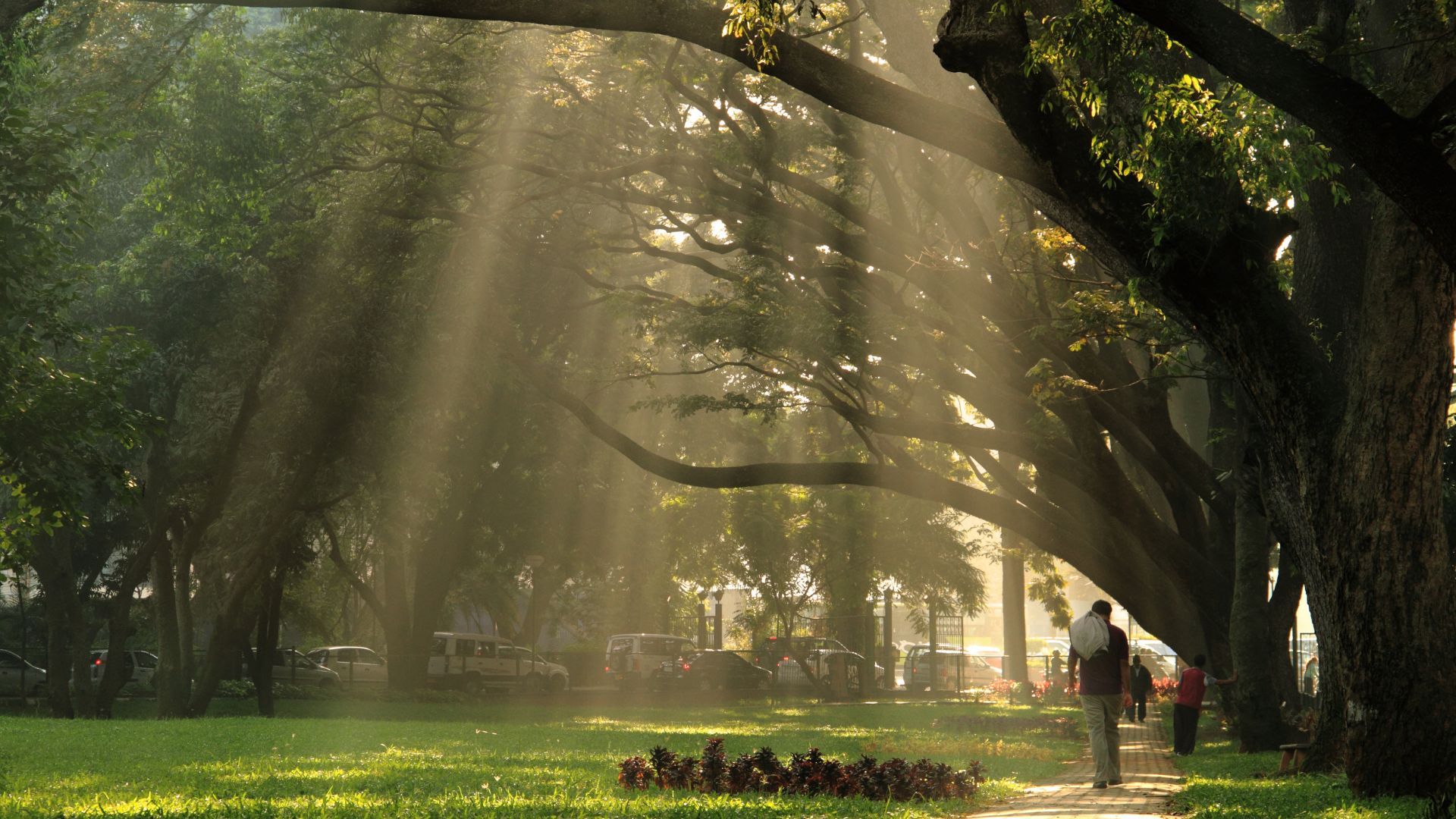 Explore Bangalore: Your Ultimate Travel Guide To Visit The Garden City