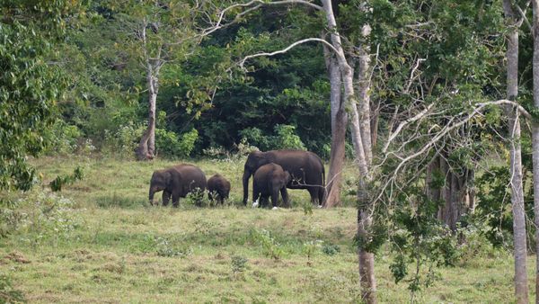 Thailand's National Parks Announce Seasonal Closure Dates