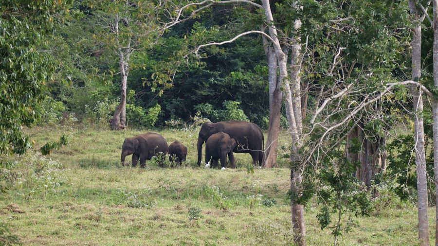 Thailand's National Parks Announce Seasonal Closure Dates