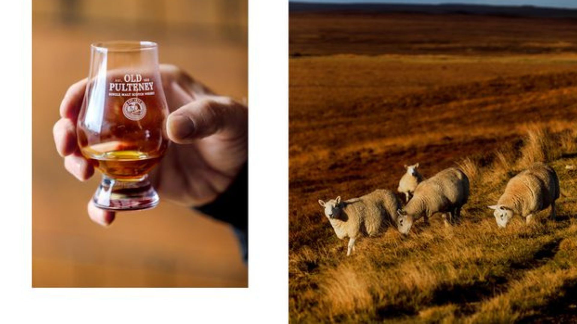 In The Scottish Highlands, The Whisky Tastes Like The Sea