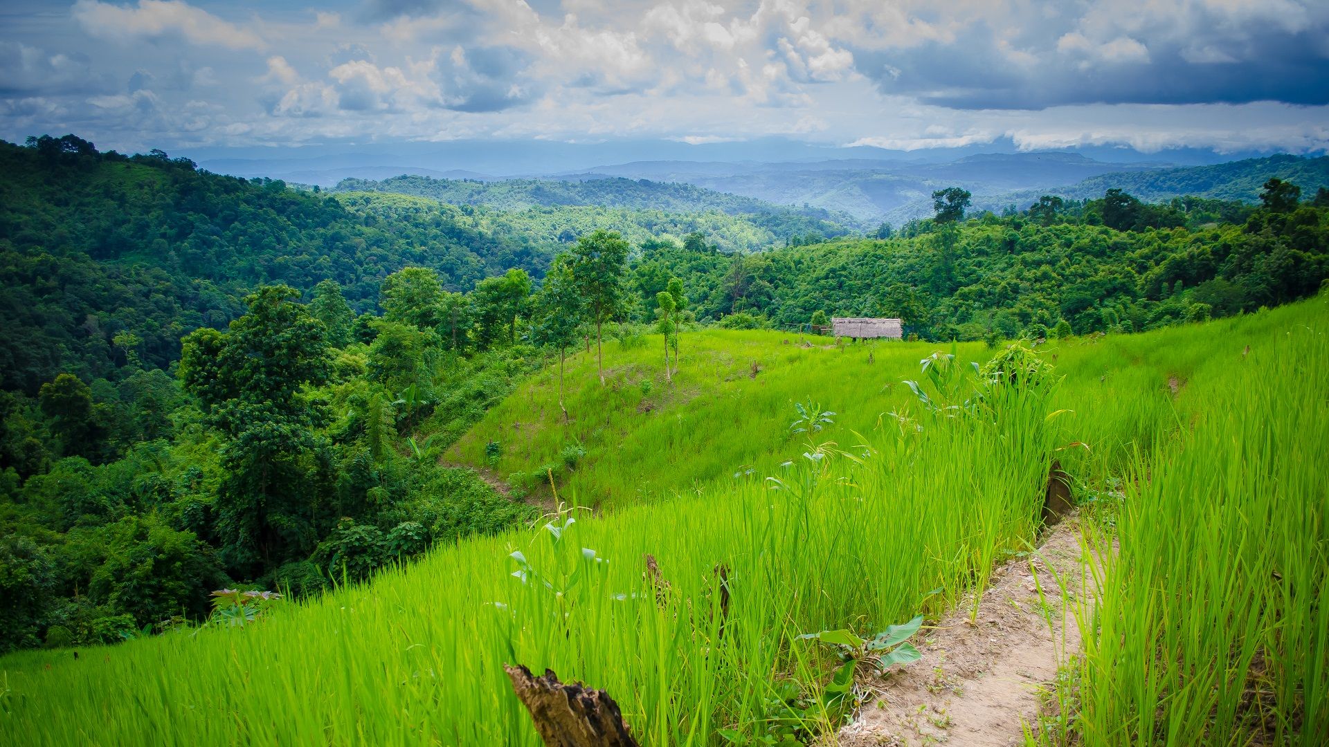 Most Beautiful Places In Assam, From Guwahati To Majuli