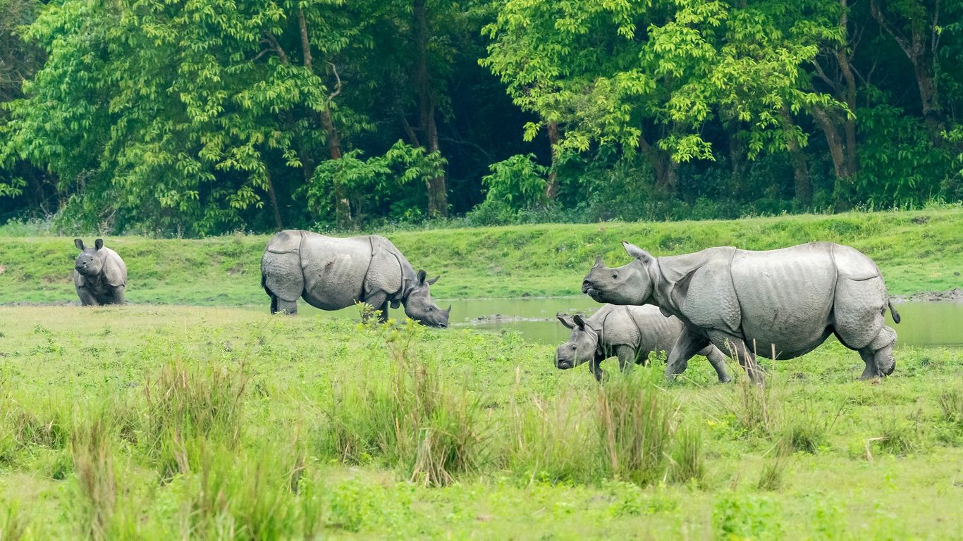 Most Beautiful Places In Assam, From Guwahati To Majuli