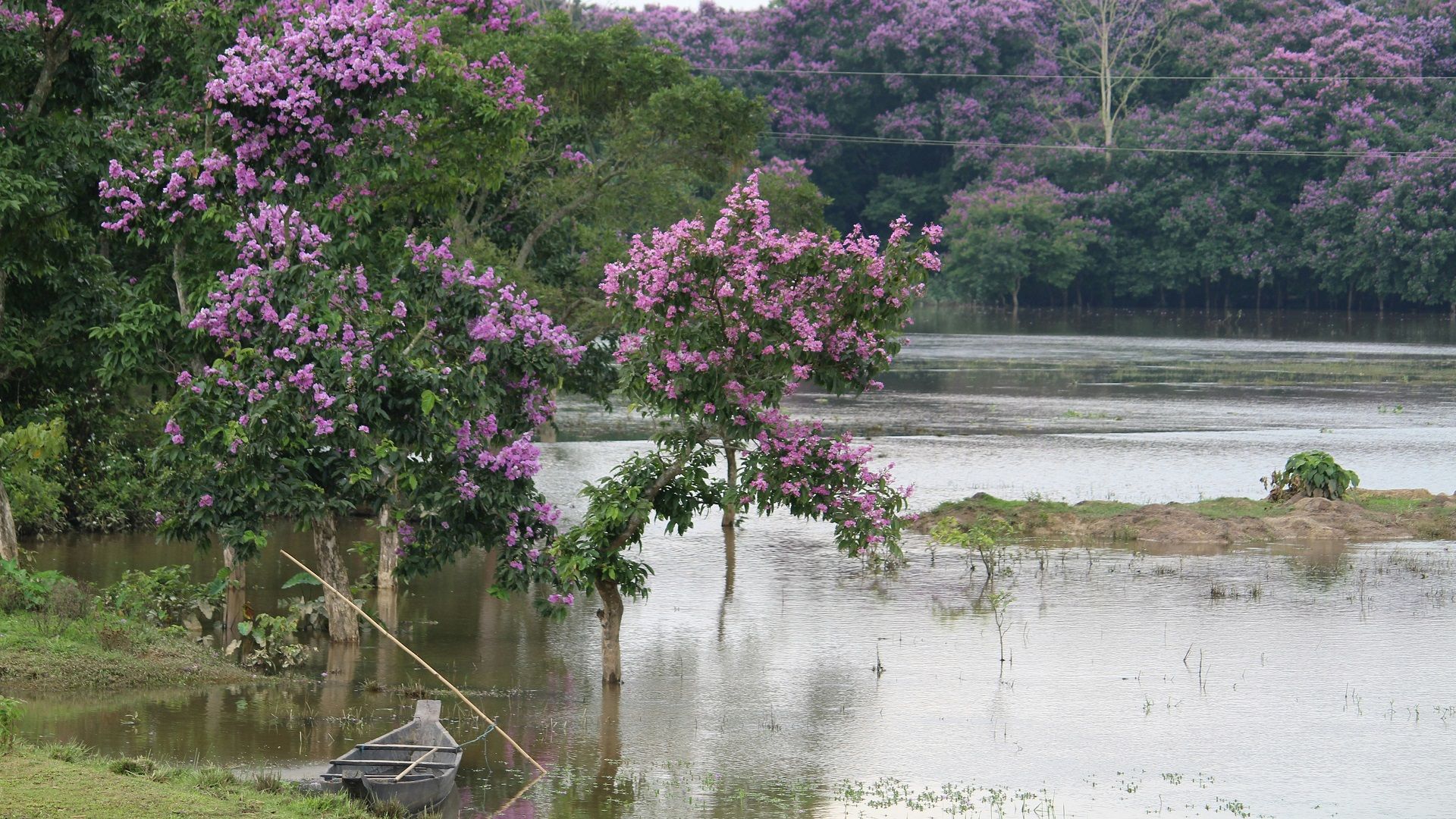 Most Beautiful Places In Assam, From Guwahati To Majuli