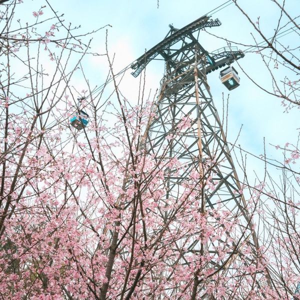 8 Fun Things To Do At Kuala Lumpur International Airport (KLIA) Layover