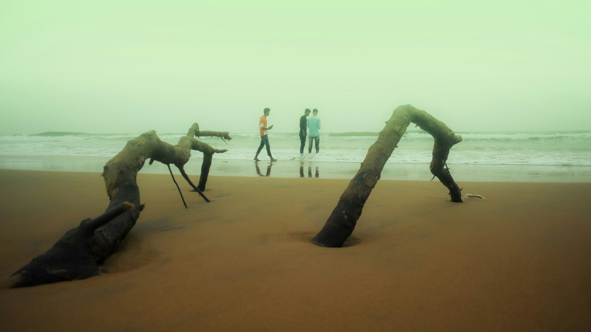 Best Beaches In Odisha: Pristine Coastal Gems In The Land Of Temples