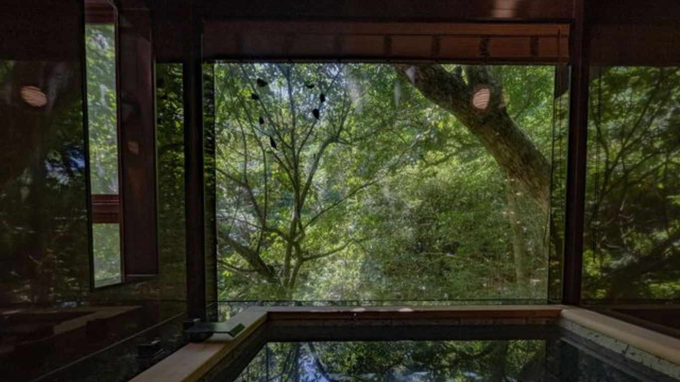 Treeful, A Tree House Resort In Japan Has 360-Degree Jungle Views